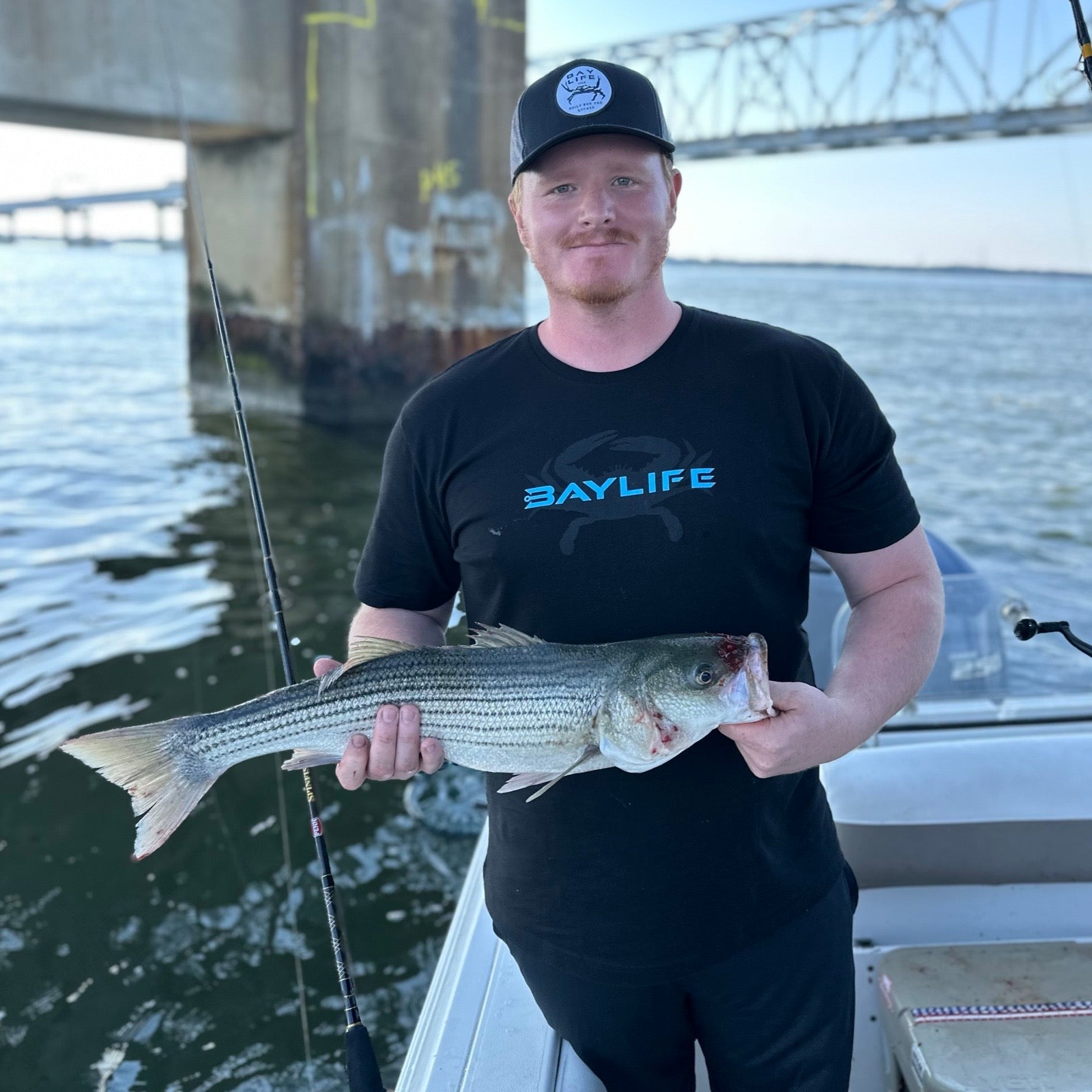 Premium T-Shirts – Page 2 – Bay Life Apparel